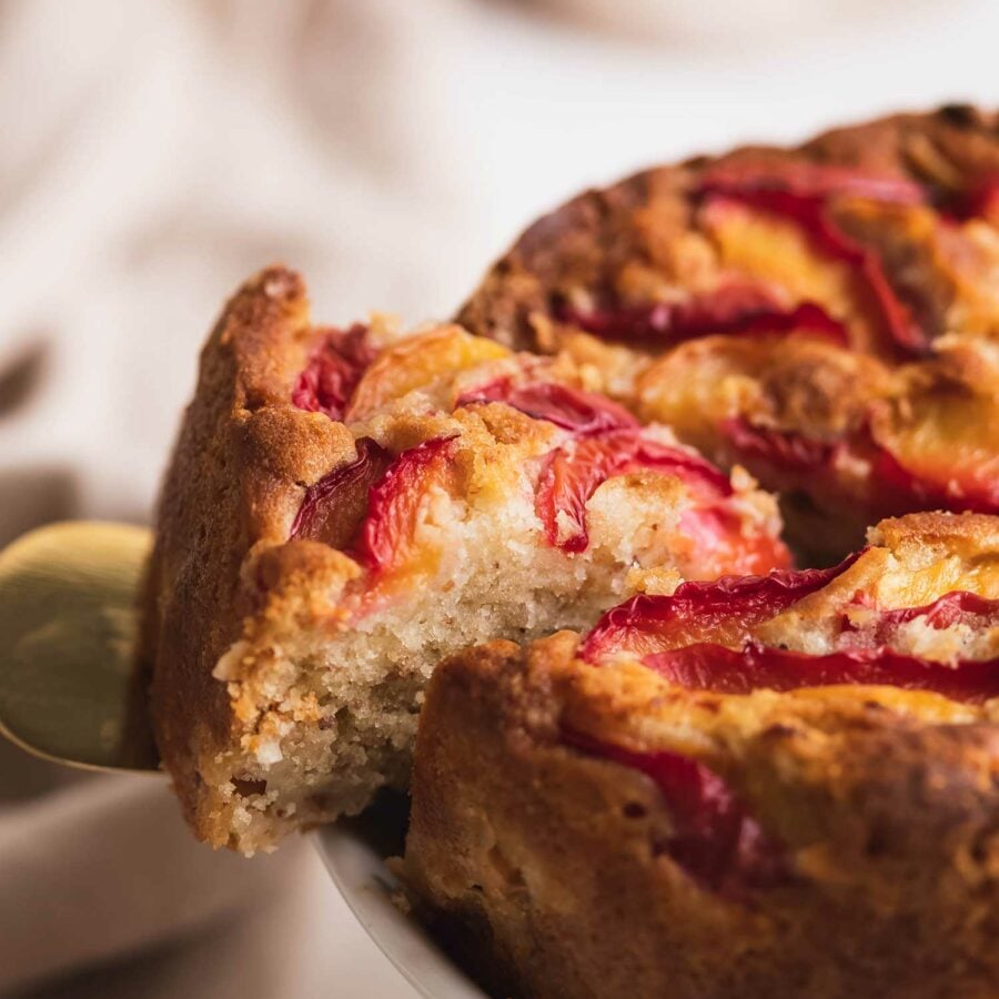 Ginger Cake - Easy, Moist &Vegan! | The Chestnut Bakery